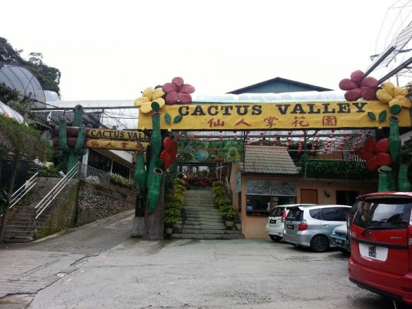 Cactus Valley @ Cameron Highlands - Cameron Highlands, Pahang